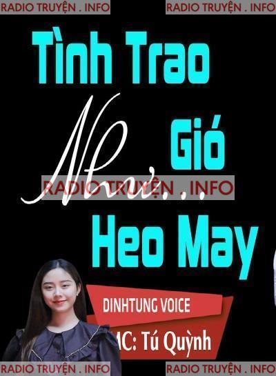 Tình Trao Như Gió Heo May Audio